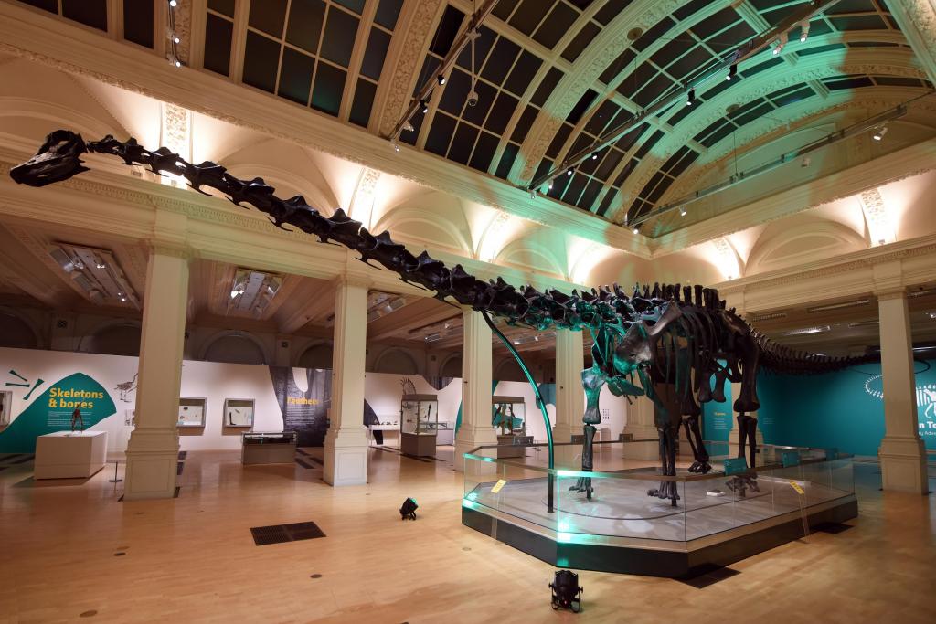 BIRMINGHAM MUSEUM & ART GALLERY CELEBRATES BOOST IN VISITOR FIGURES ...
